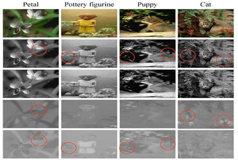 M2gf Multi Scale And Multi Directional Gabor Filters For Image Edge Detection