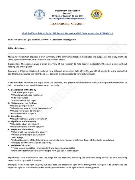 Modified Sip Rp Report Format G7 Pdf Experiment Hypothesis
