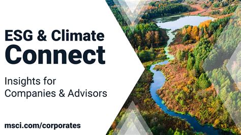 More Companies Are Increasing Climate Disclosure Efforts