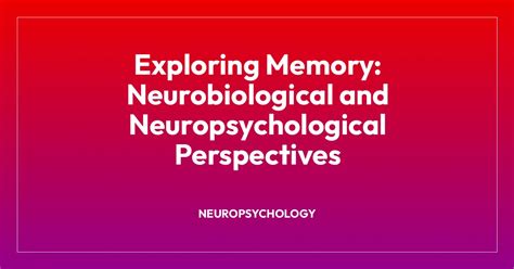 Exploring Memory Neurobiological And Neuropsychological Perspectives • Psychology Town