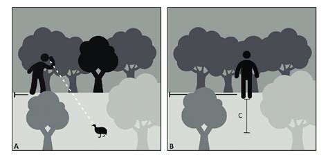 Graphic Representation Of The Distance Sampling Method A Researcher