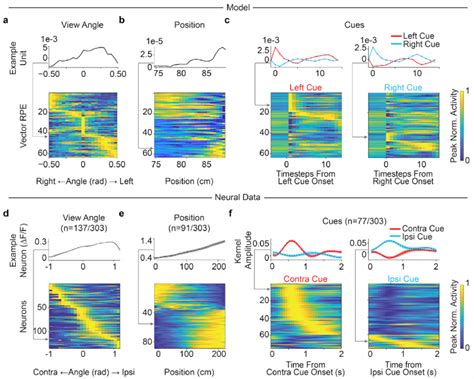 Vector RPE Derived From The Trained Deep RL Model Is Heterogeneously Download Scientific