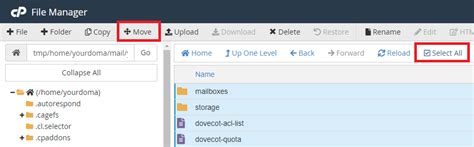 How To Restore Emails Files And Databases Using The R1soft Automated