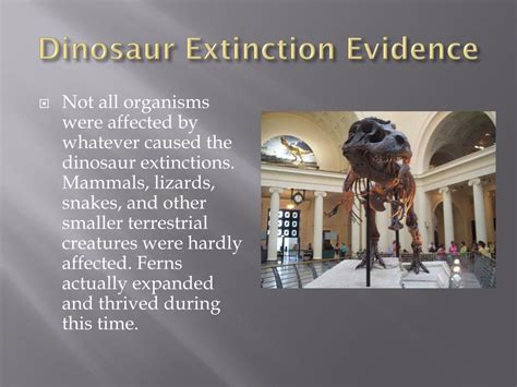 Ppt Dinosaur Extinction Evidence Powerpoint Presentation Free