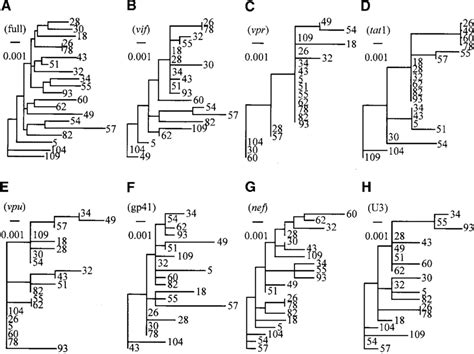 reconstructed maximumlikelihood phylogenies for each gene segment