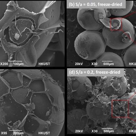 The Internal Microstructure Of Gel Joint Formed By Applying Different