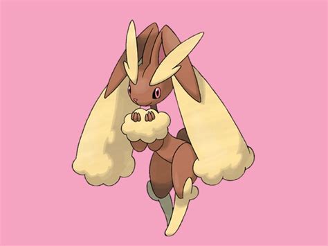 Pokemon Lopunny Evolution Pokemon Lopunny Evolution