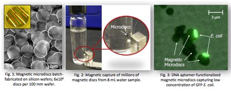 Rapid Portable Detection Of Coliforms And E Coli In Drinking Water