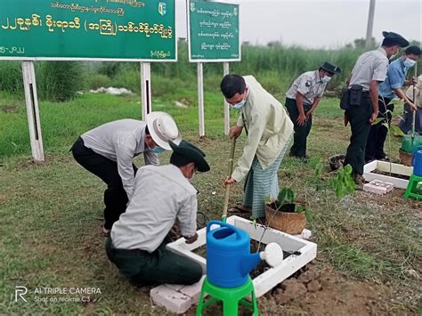 ဒိုက်ဦးမြို့တွင် ၂၀၂၂ ခုနှစ် မိုးရာသီ အကြို သစ်ပင်စိုက်ပျိုးပွဲကျင်းပ Information And Public