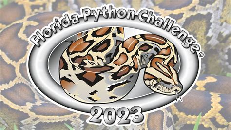 2023 Python Challenge Award Ceremony Youtube