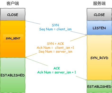 4 1 tcp 三次握手与四次挥手面试题 小林coding