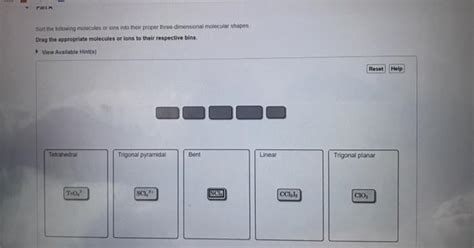 Solved Palla Sort the following molecules or ions into their | Chegg.com