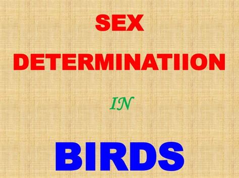 Sex Determination In Birds PDF