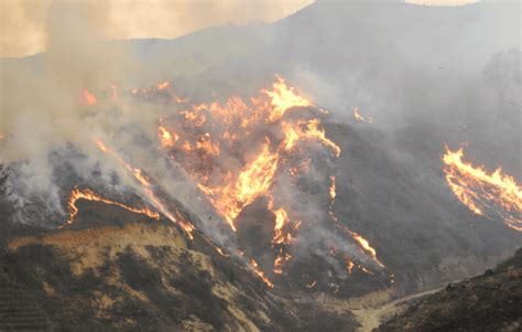 wildfire detection archives insight robotics