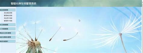 基于web停车场管理系统项目部署演示视频 Csdn博客