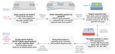 Steps Describing Derivation Of Numerical Sw Propagation Results In The Download Scientific