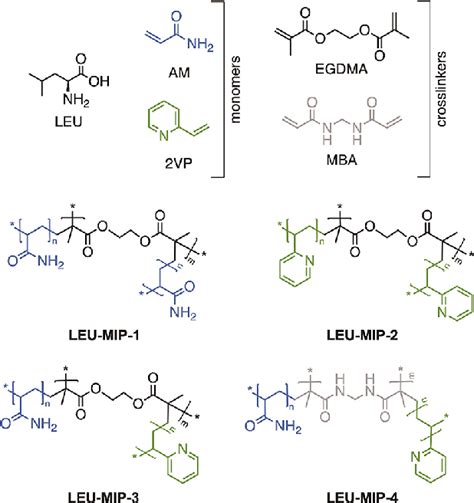 Chemical Structures Of L Leucine Leu Template Functional Monomers
