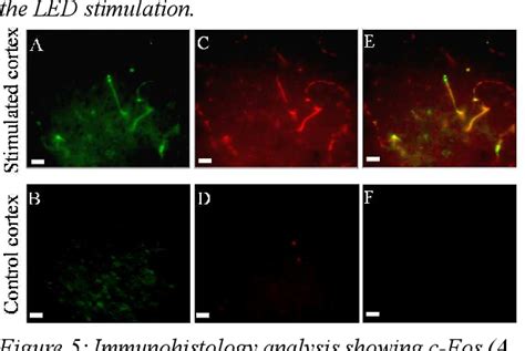 Figure 5 From A Flexible Origami Opto Electro Array For In Vivo Figure 5 From A Flexible Origami Opto Electro Array For In Vivo