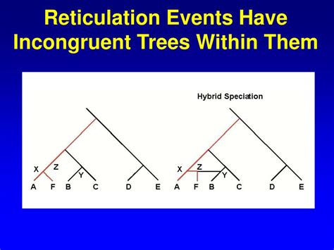 Ppt Network Reticulate Evolution Biology Models And Algorithms