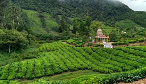 Theni Tamil Nadus Picturesque Gateway To The Western Ghats Pin