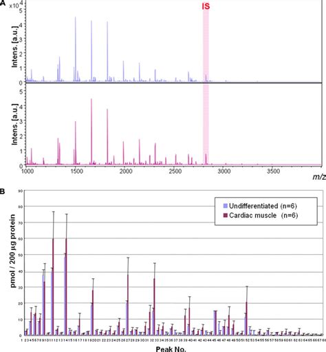 Large Scale N Glycan Analysis During P19cl6 Cell Differentiation A Download Scientific