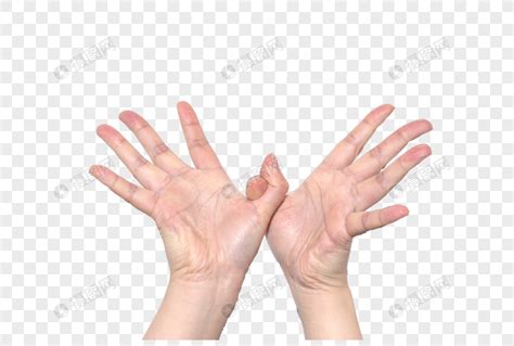 手元素素材下载 正版素材400994516 摄图网