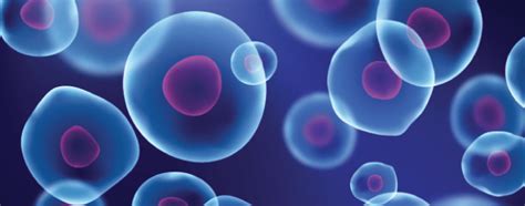 Expression Systems Capabilities Advaxia