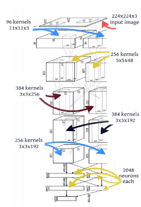 Architecture Of The CNN Used In This Work The Output Layer Was Altered Download Scientific