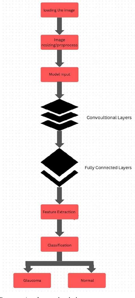 Figure 2 From Performance Analysis Of Deep Learning Models For Accurate Glaucoma Detection