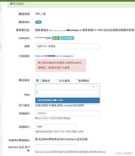 内网穿透（mac，window，linux通用）1分钟实现外网访问电脑本地服务器 本地内网穿透 csdn博客