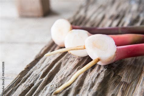 galanga Stock Photo | Adobe Stock