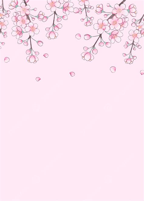 만화 벚꽃 떨어지는 배경 세로 버전 배경 화면 및 일러스트 무료 다운로드 Pngtree