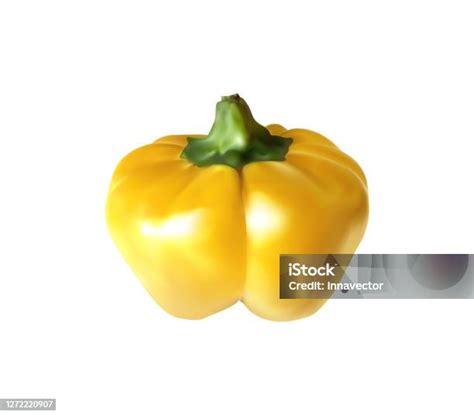 흰색 배경에 고립 된 사실적인 3d 파프리카 벡터 그림입니다 3차원 형태에 대한 스톡 벡터 아트 및 기타 이미지 3차원 형태