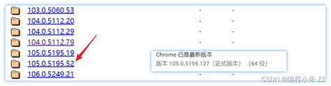 【工具篇】chromedriver的下载与安装 chromdriver csdn博客