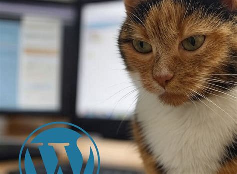 The Ultimate Guide To Adding Header And Footer Code In Wordpress Mcorucu