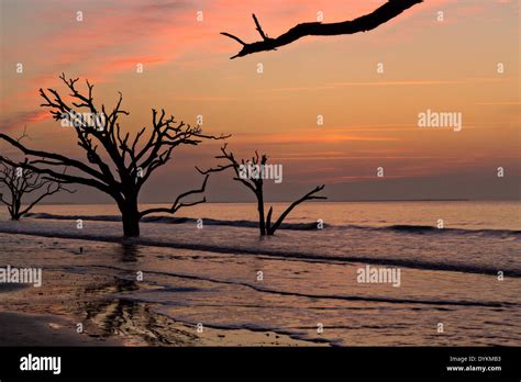 Sunrise Over Boneyard Beach At Botany Bay Edisto Island South
