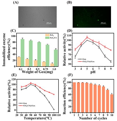 Molecules Free Full Text Dual Enzyme Cascade Composed Of Chitosan Coated Fes2 Nanozyme And