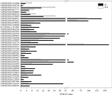 fpkm values for all 39 validated genes “ ” represents 32 33 wt