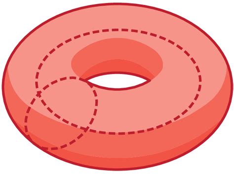 Figure S5 An Illustrative Example Of Homology Using The 2 Dimensional Download Scientific