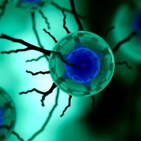 Extracellular Vesicles Endometrial Cancer And Macrophage Dialogue