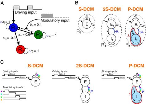 An Exemplary Neuronal Network Used For Simulations A Network Of