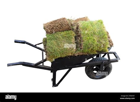 Old Wheelbarrow With Fresh Grass Pieces Isolated On White Background