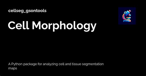 Cellnuclei Morphology Cellseggsontools
