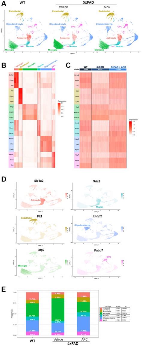Single Cell Rna Seq Reveals Transcriptomic Modulation Of Alzheimers… Abiosciences