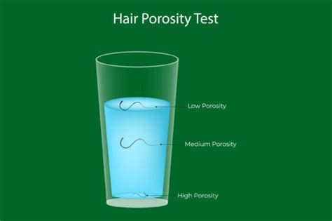 4 Hair Porosity Test Designs And Graphics