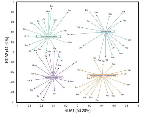 Redundancy Analysis Rda Showcasing The Impact Efficiency Of The Download Scientific Diagram