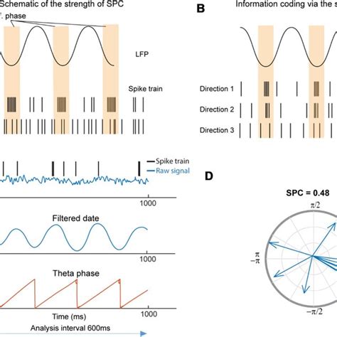 Schematic Of The Strength Of And Encoding Based On Spc A A