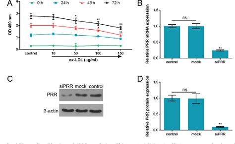 Figure 2 From Effect Of Heme Oxygenase 1 And Renin Prorenin Receptor On Oxidized Low Density