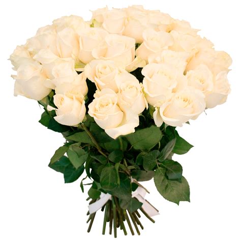 35 Роз - Floradelivery.md - Доставка цветов в Комрате