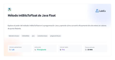 Dominando El Método Intbitstofloat De Java Labex